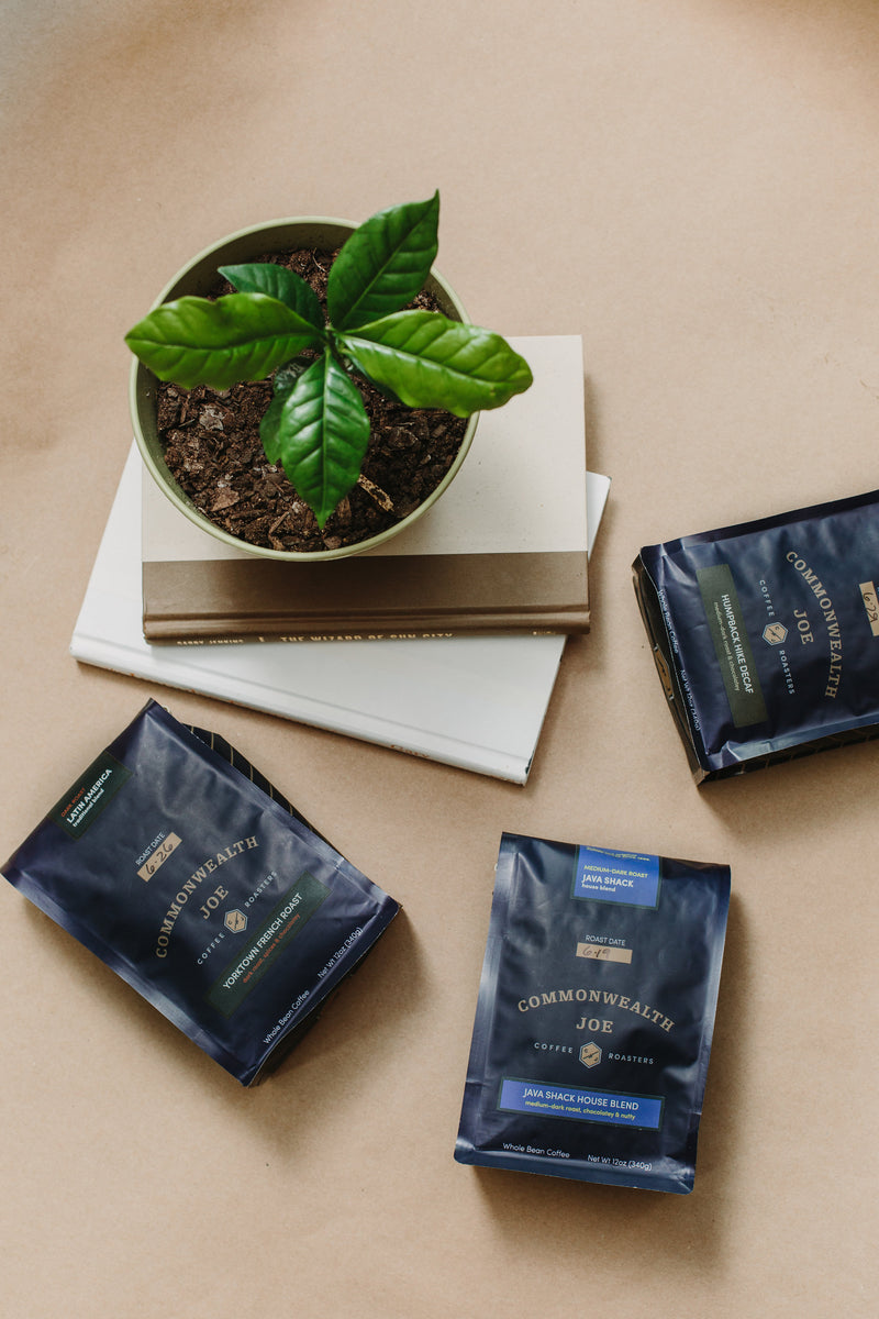 Climate Change's Impact on Coffee – Commonwealth Joe Coffee Roasters